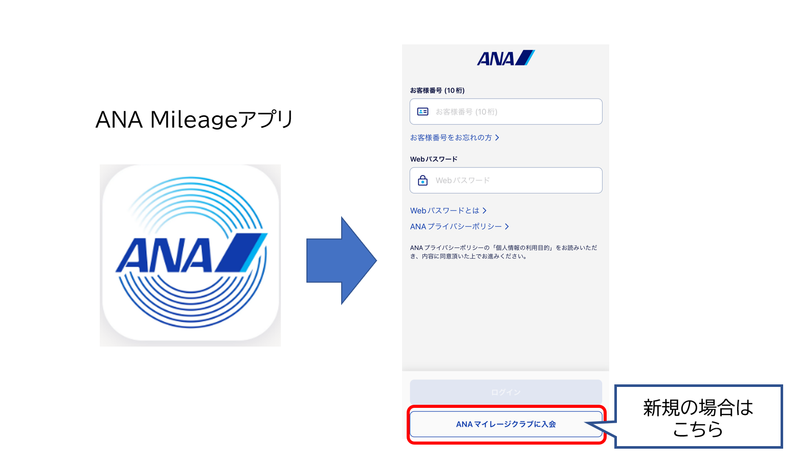 MIXI M⇒ANA Pay⇒ToyotaWallet⇒Suicaチャージでお得多重取り！ANA Payの進化で新たなルートが開通？ - ポイントを楽しむ